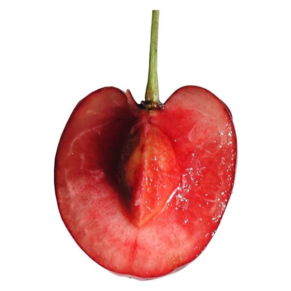 Trái Cherry tươi | Thực phẩm chức năng